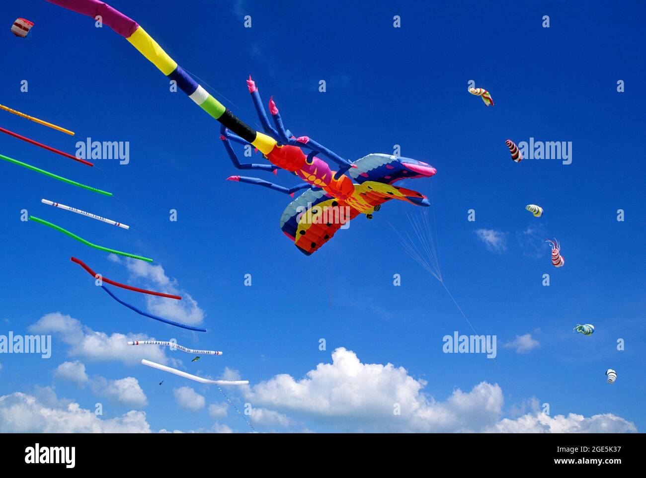 FRANCE, KITE FESTIVAL, THE PRAYING MANTIS KITE WITHOUT STRUCTURE BY ...