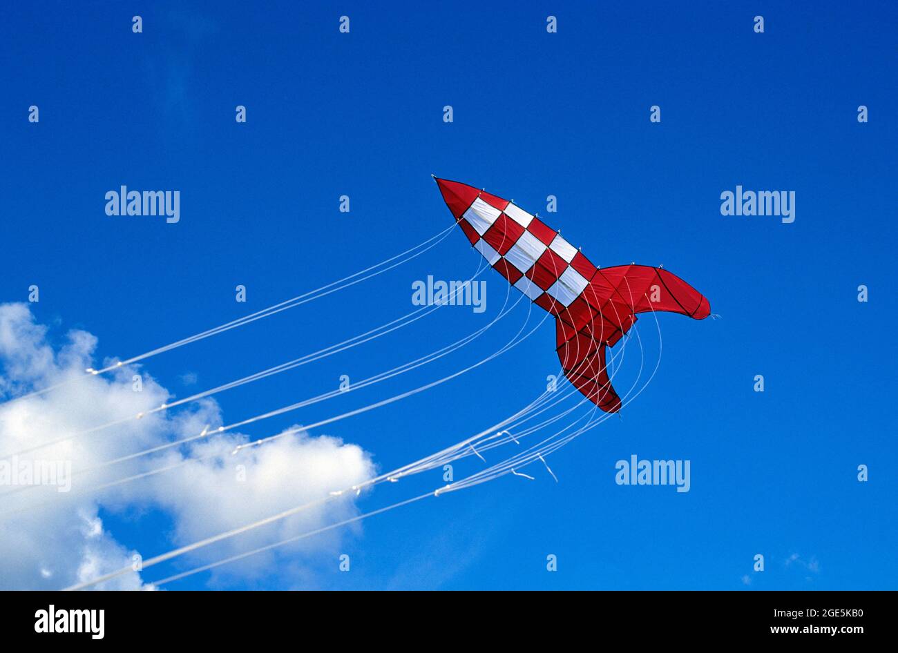 FRANCE, PAS-DE-CALAIS (62) BERCK-SUR-MER, KITE FESTIVAL, TINTIN ROCKET ...