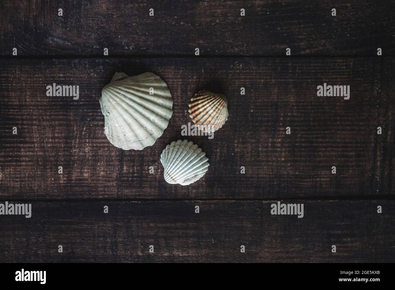 composition of sea shells on wooden background., horizontal image Stock ...