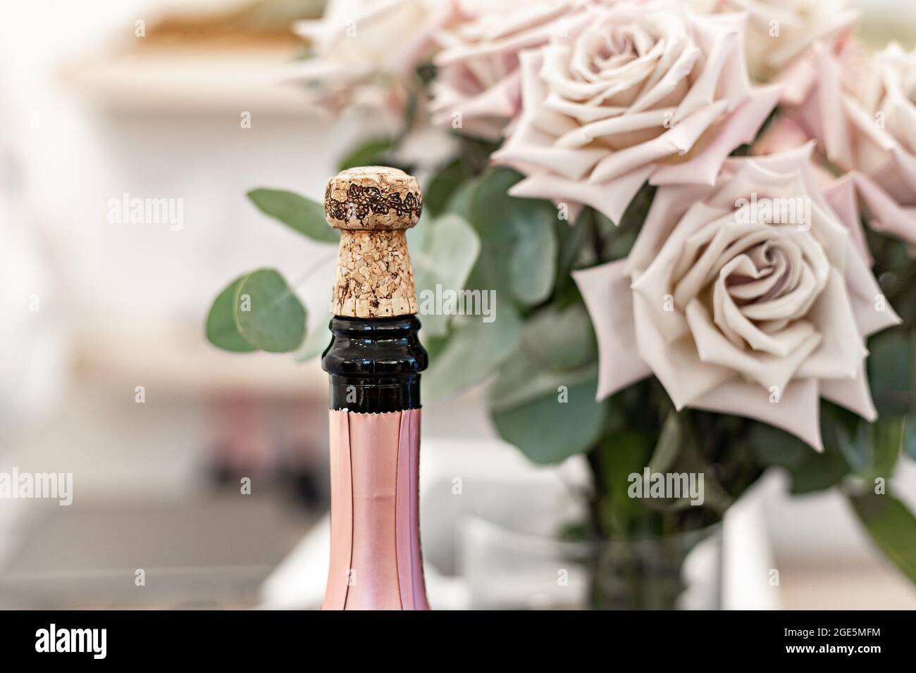 Open pink roses hi-res stock photography and images - Alamy