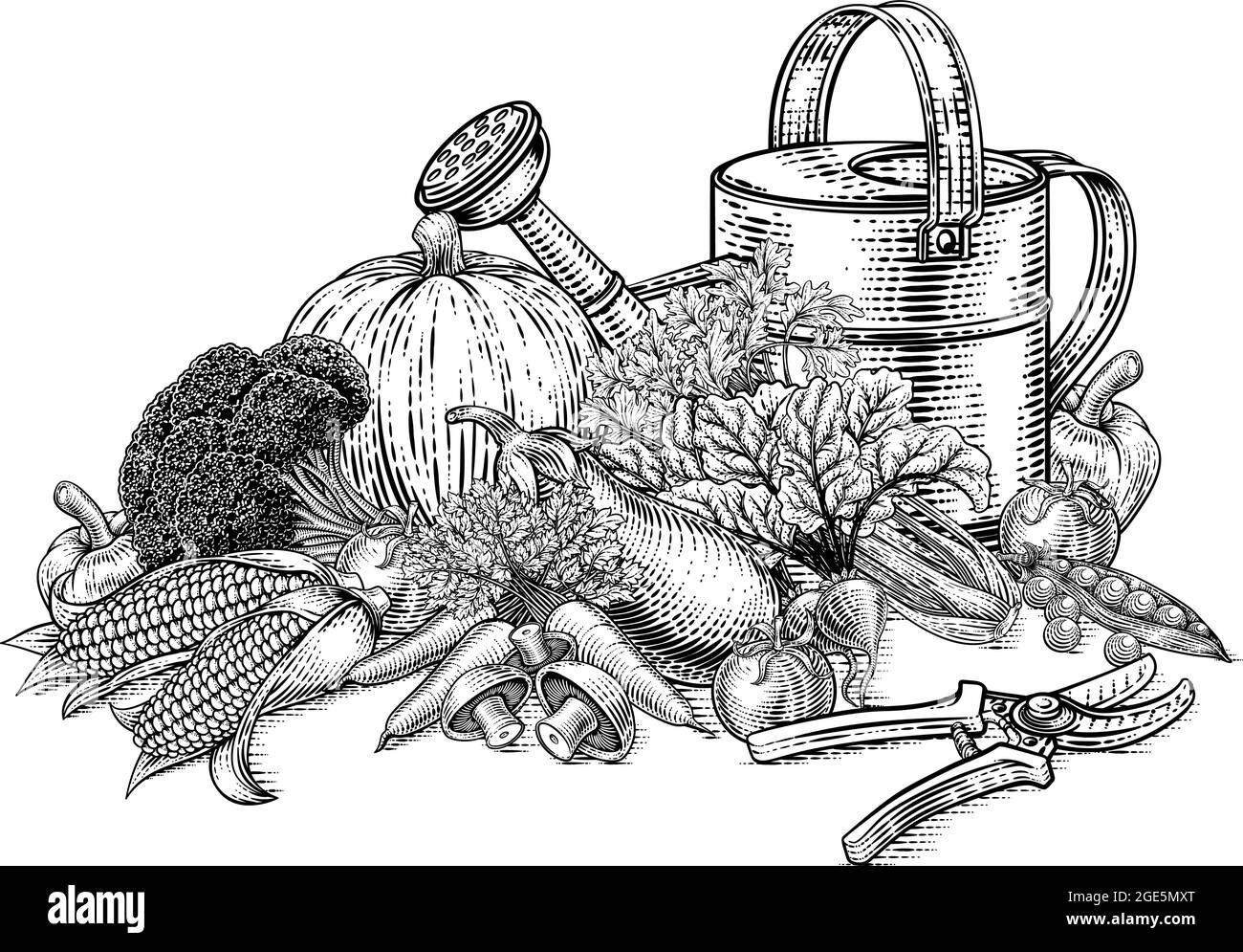 Fruits vegetables coloring book hi-res stock photography and images - Alamy