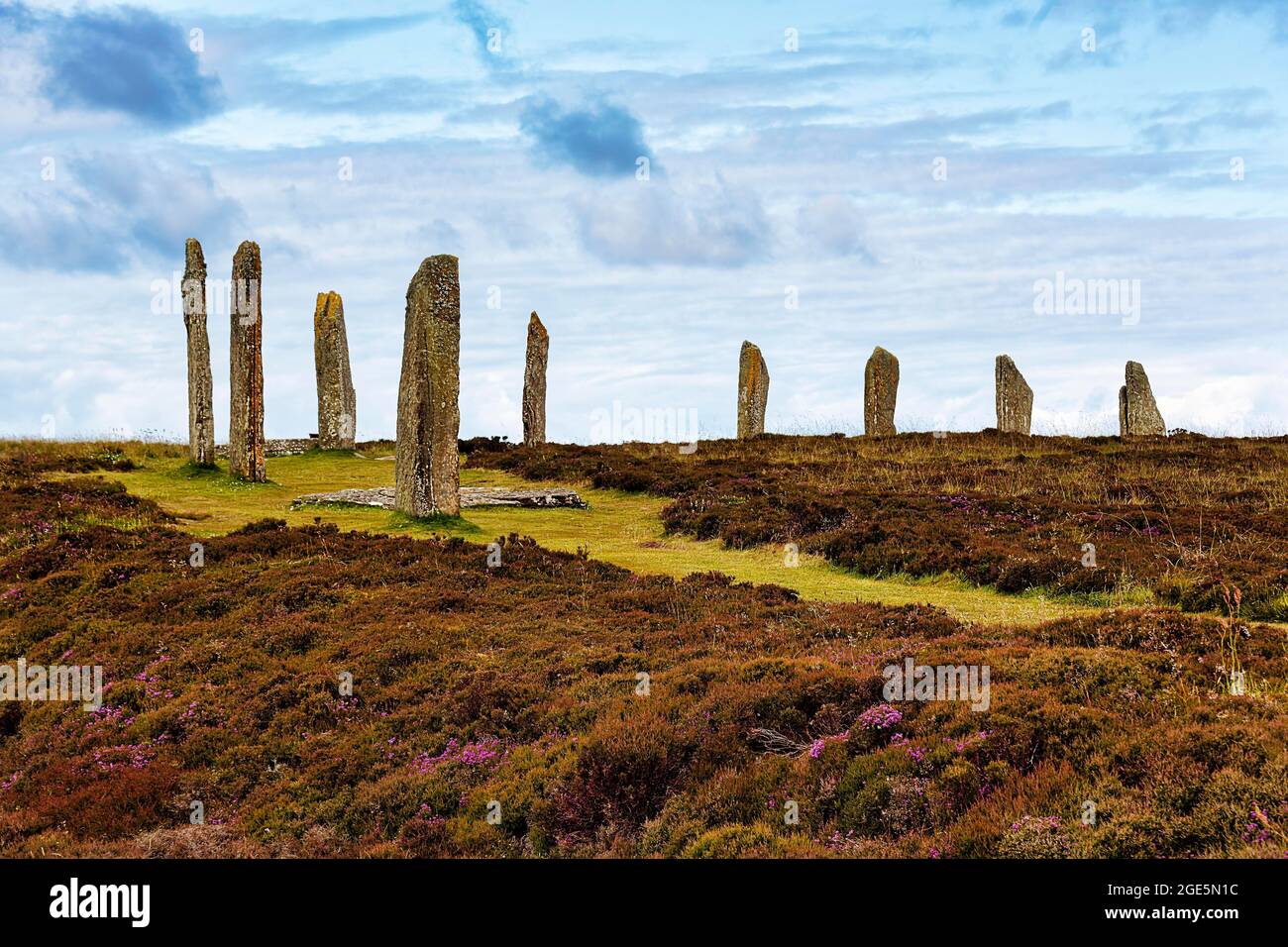 Neolithic stone circle, henge, Ring of Brodgar in a meadow with grass ...