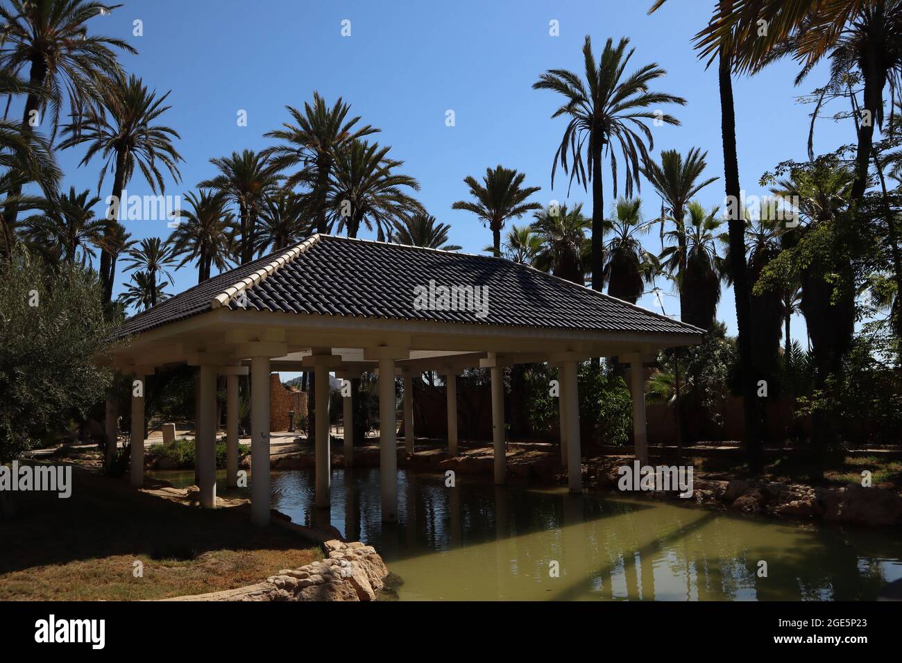 the architectural paradise, palm tree in the beach, palm grove Stock ...