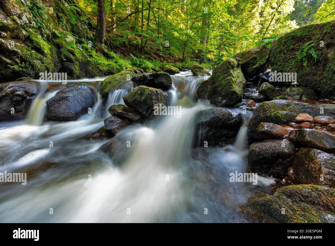 Haslach Gorge, Haslach, Black Forest, Baden-Wuerttemberg, Germany Stock ...