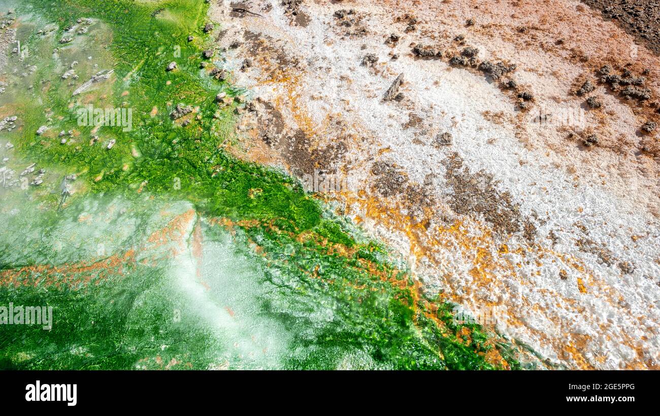 Hot springs, close-up of green algae and colourful mineral deposits in ...