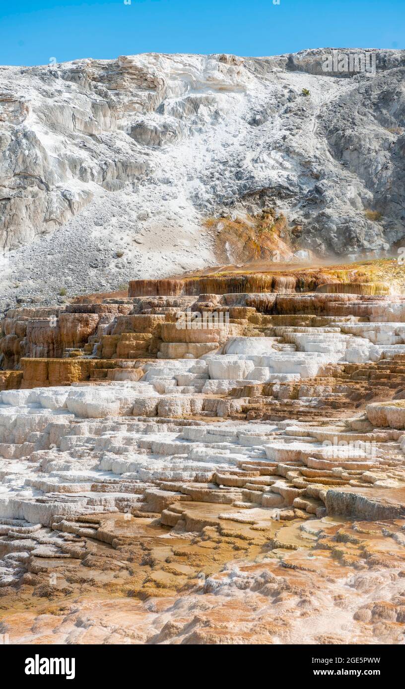 Sinter terraces, hot springs, orange mineral deposits, Palette Springs ...