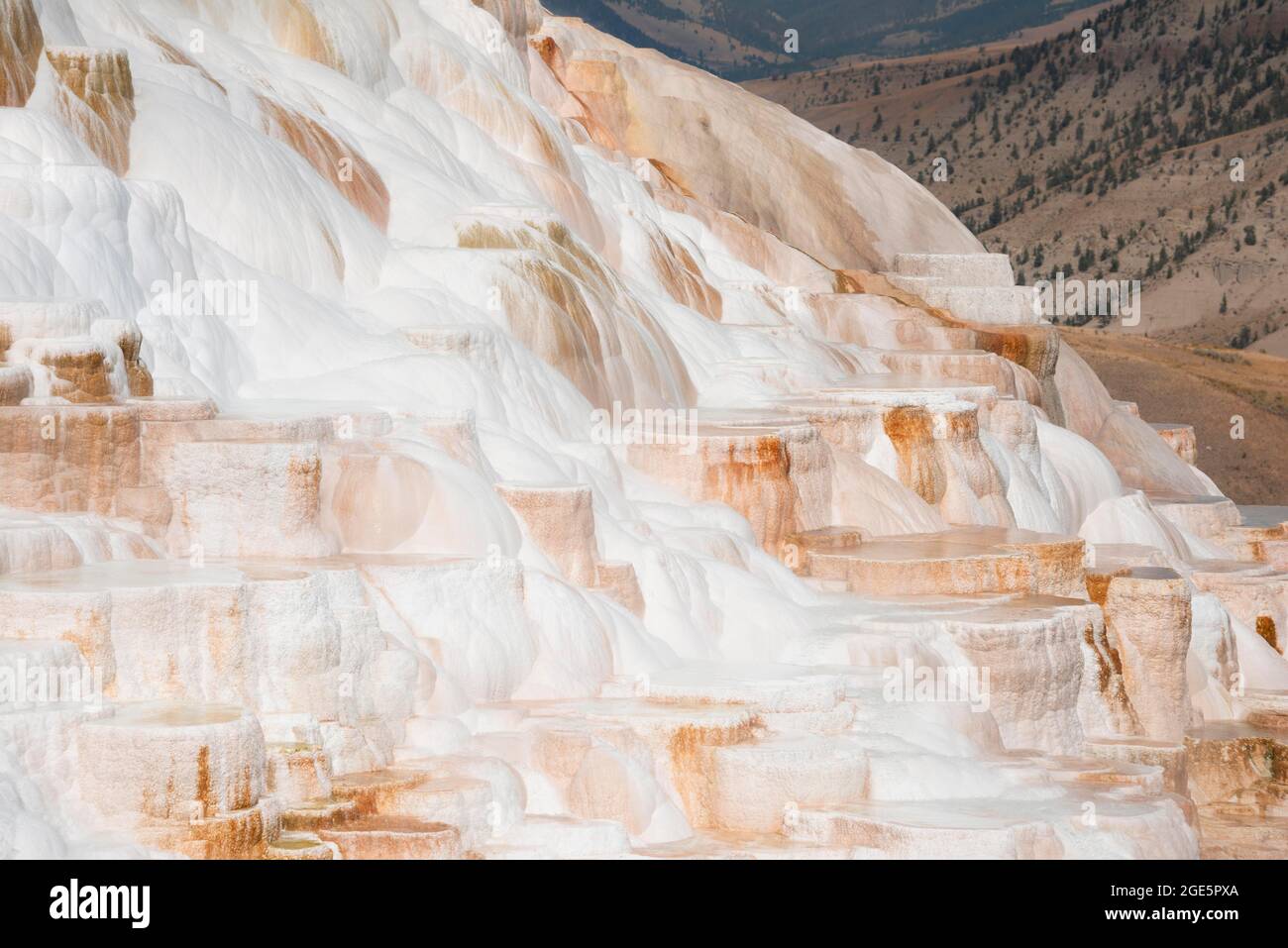 Sinter terraces with calcareous tuff deposits, hot springs, colorful ...