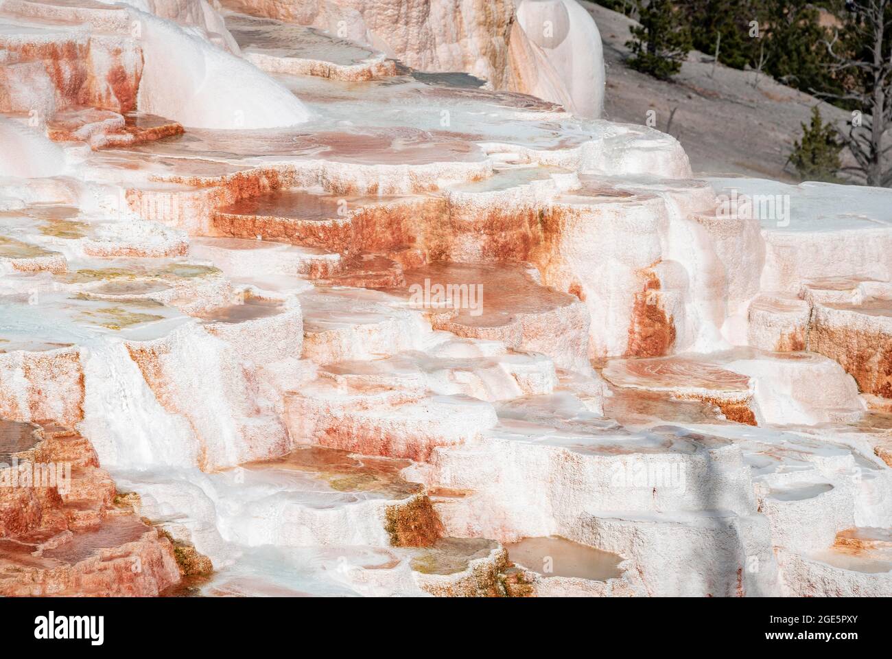 Sinter terraces with calcareous tuff deposits, hot springs, colorful ...