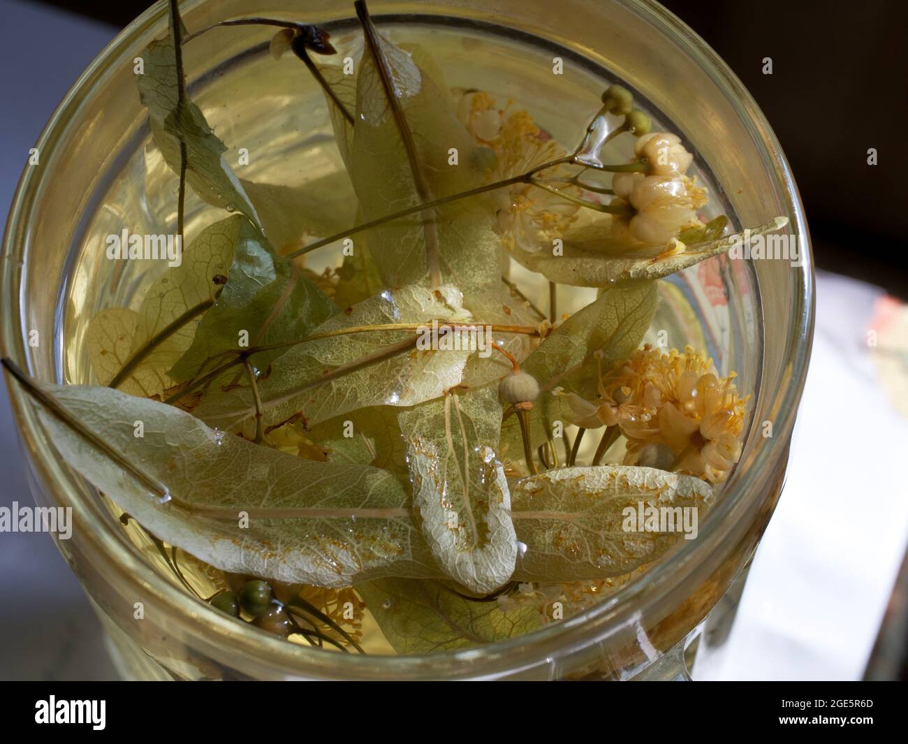 A large cup full of linden tea. Linden flower tea leaves. Medicinal ...