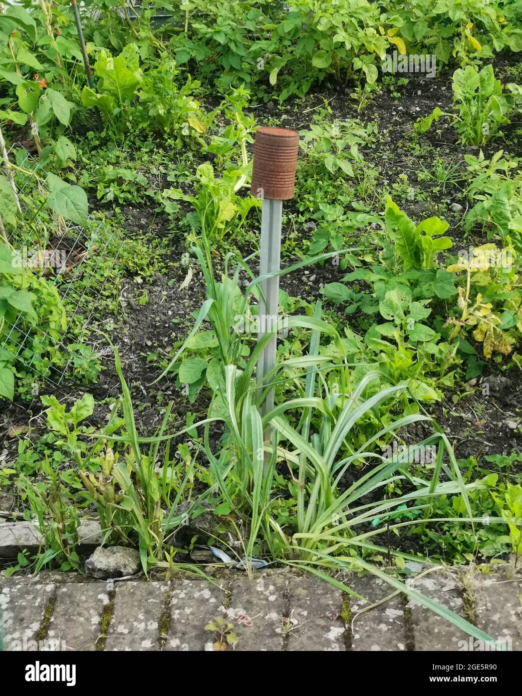 Rusty Tin Can High Resolution Stock Photography and Images - Alamy