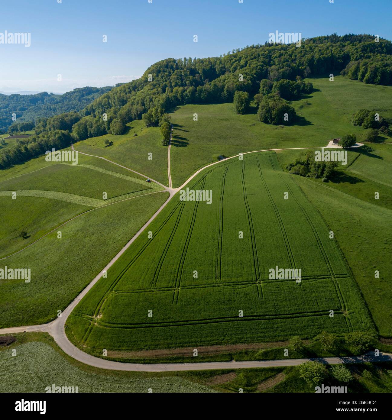 Tilled field with tramlines for tractors, aerial view, Dietisberg ...