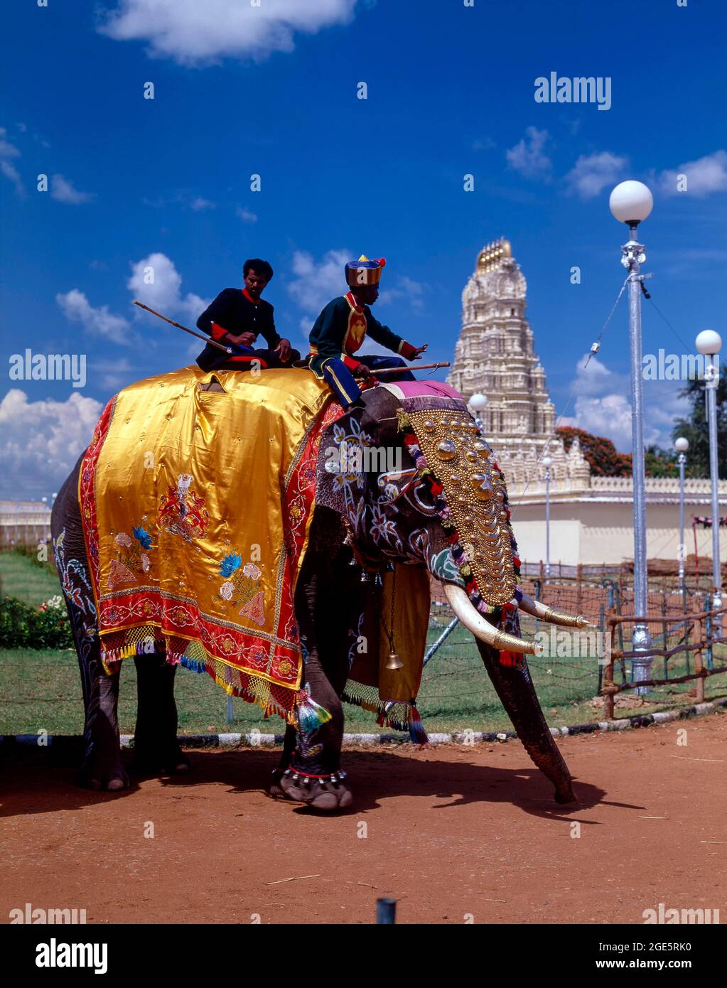 Caparisoned and Painted Elephant; Dussera dusera Festival at Mysore ...