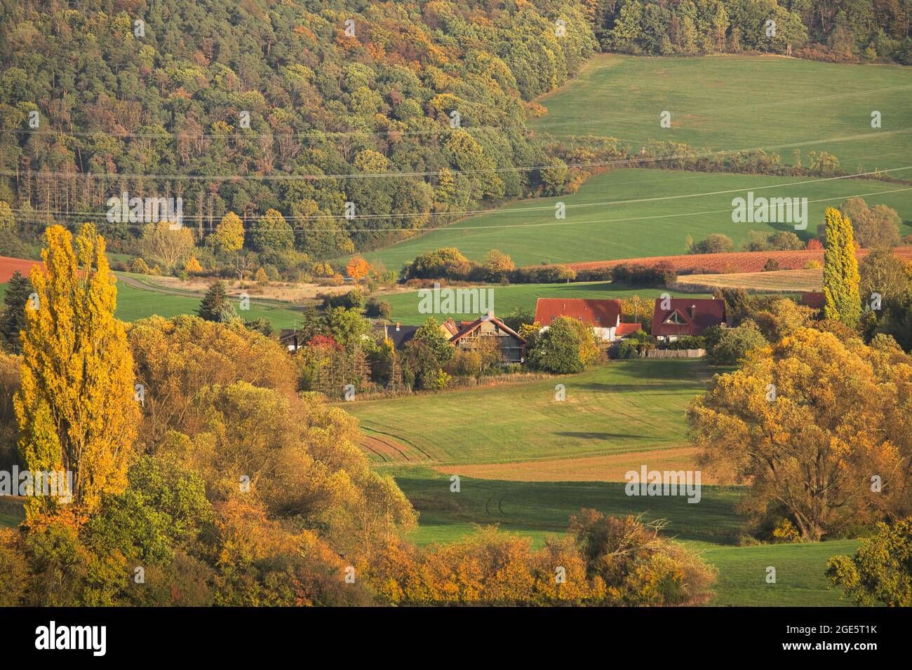 Fields and trees changing color in rural Germany in the Palatinate ...