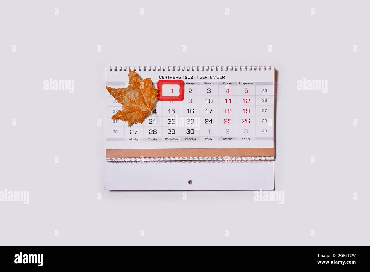 September 2021 monthly calendar and fall leaves on white background ...