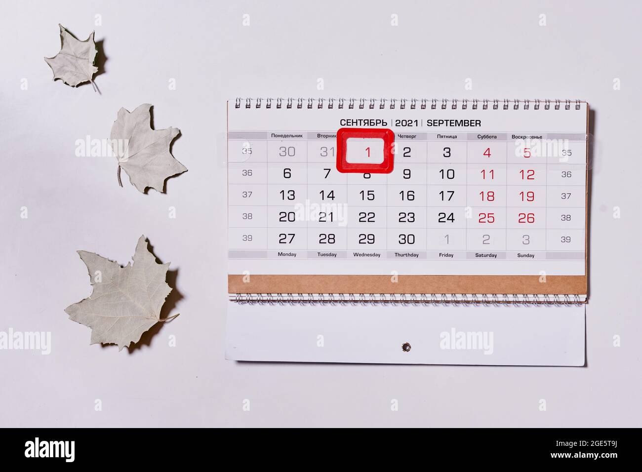 September 2021 monthly calendar and fall leaves on white background ...
