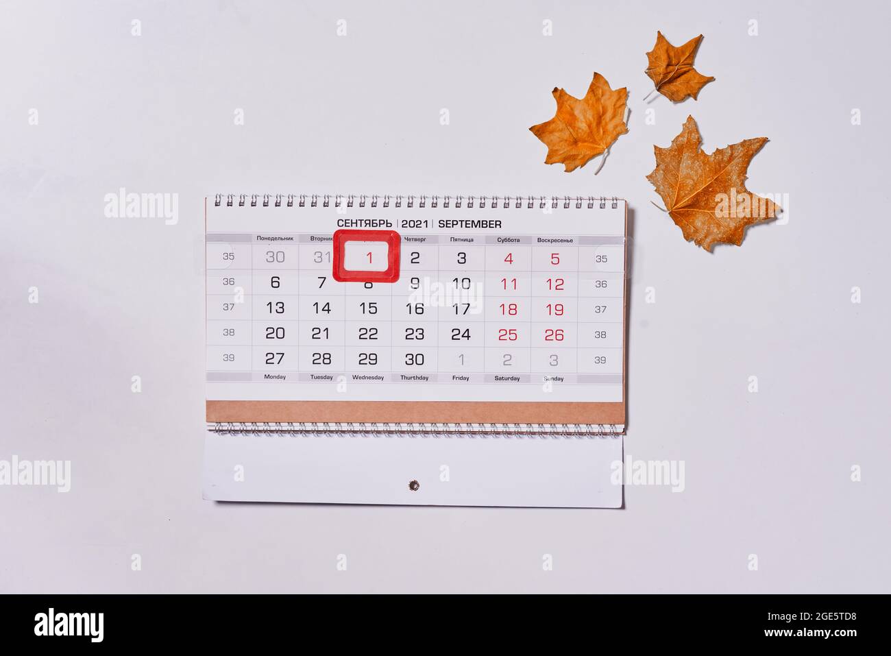 September 2021 monthly calendar and fall leaves on white background ...