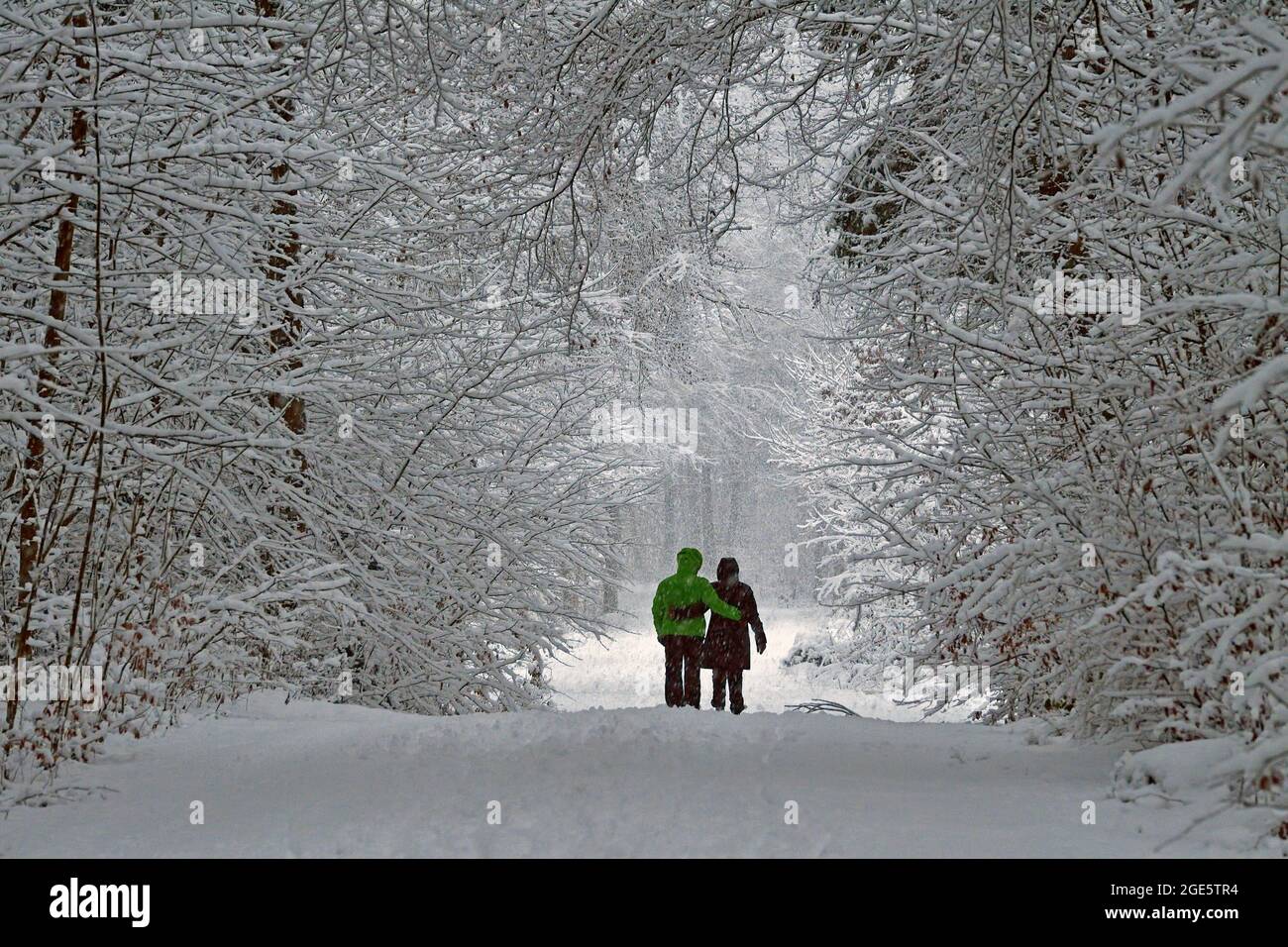 Couple trudging through the winter landscape in the forest, Canton ...
