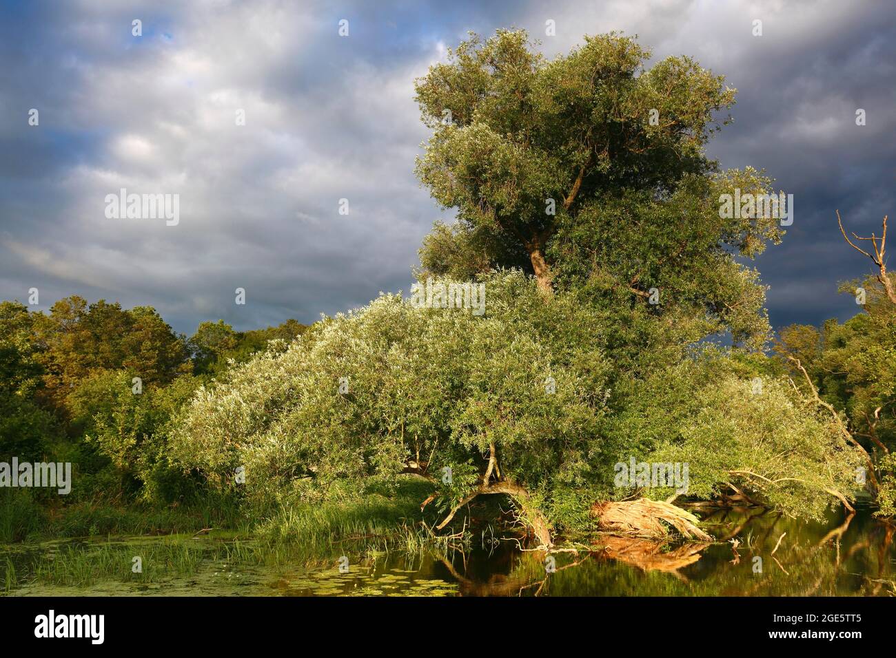Floodplain river oxbow hi-res stock photography and images - Alamy