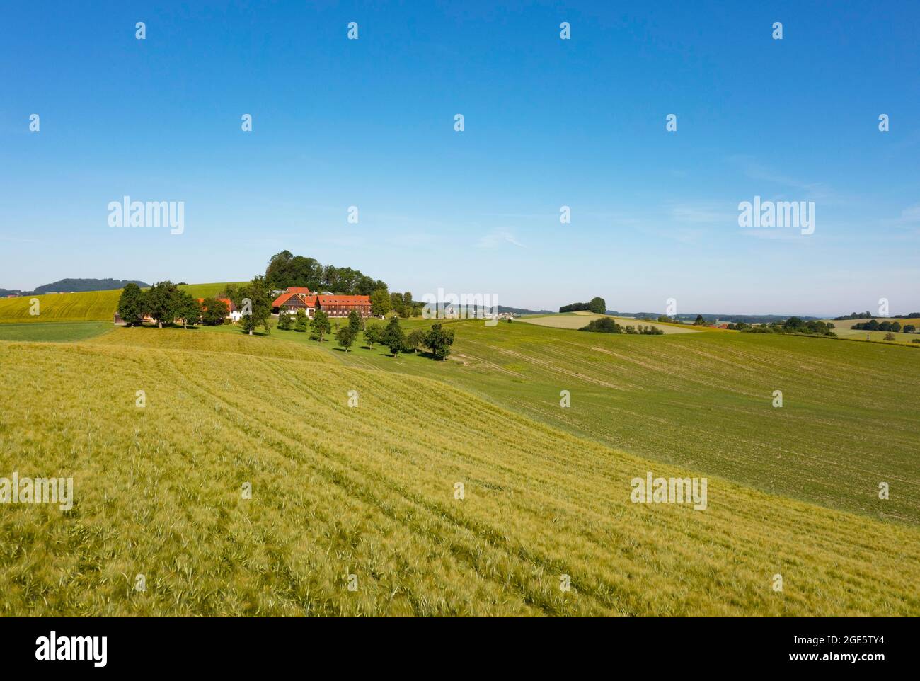 Grain field and farm near Waldzell, Innviertel, Upper Austria, Austria ...