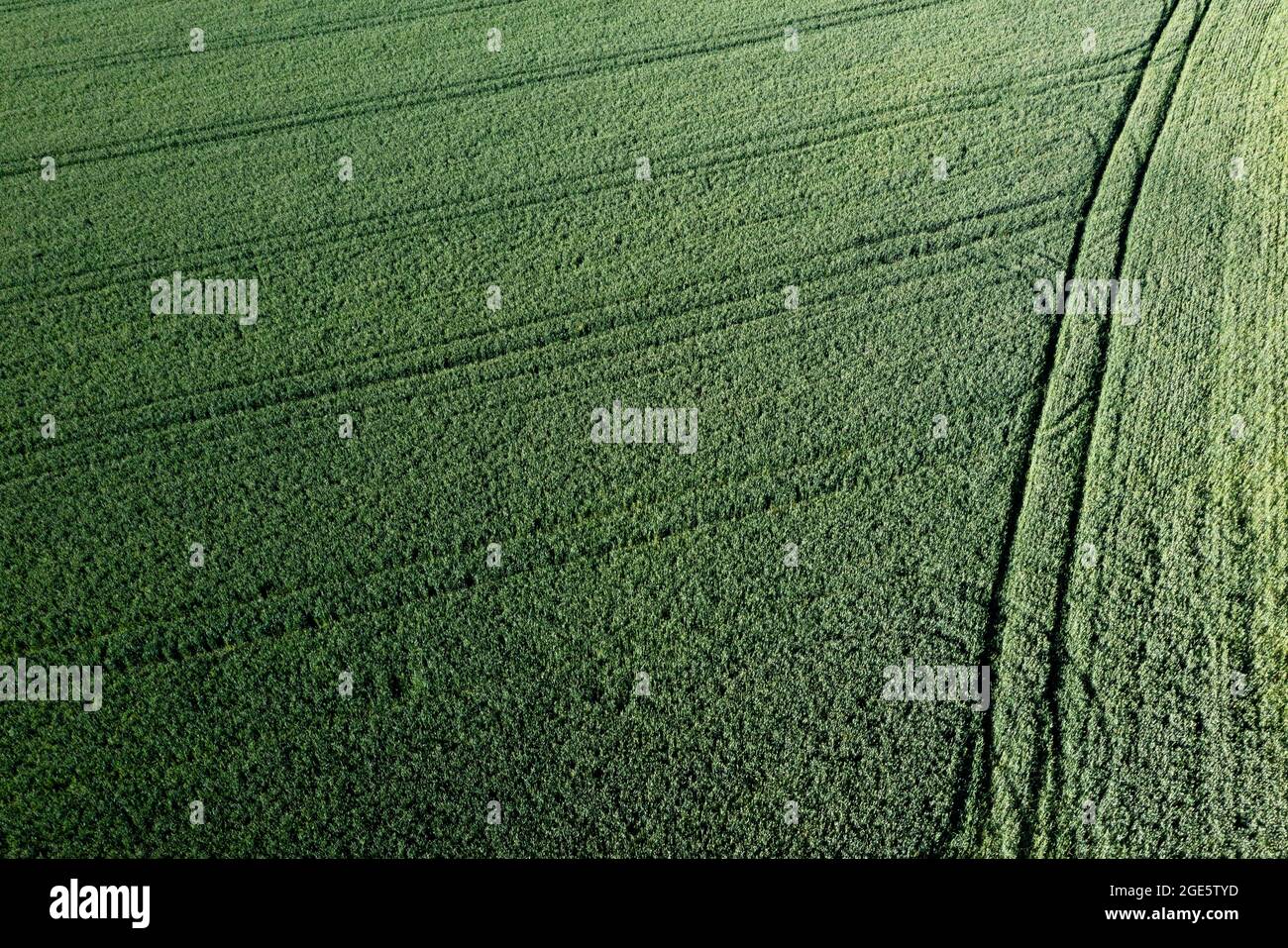 Drone image, agricultural field with lanes, Innviertel, Upper Austria ...