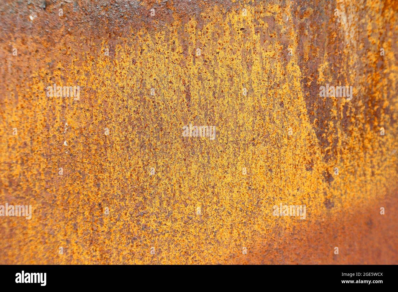 Canada barrel hi-res stock photography and images - Alamy