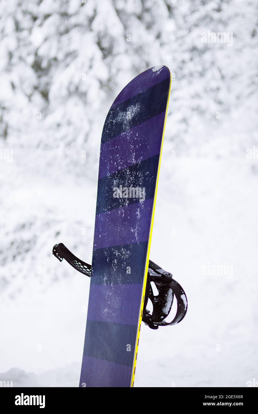 snowboard in snow close up winter activities Stock Photo - Alamy