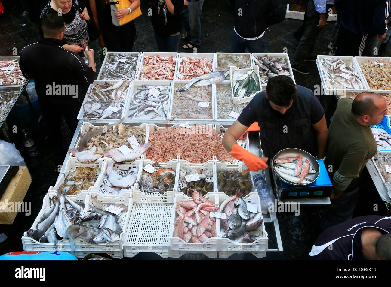 Catania Fish Market, Sicily, Mediterranean Sea, Italy Stock Photo - Alamy