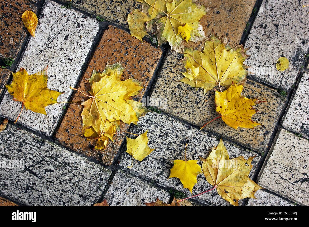 Paving slabs background. Concrete background Stock Photo - Alamy
