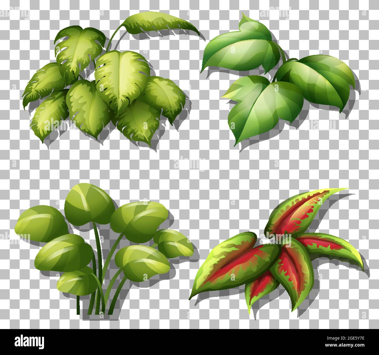 Set of various plants on transparent background illustration Stock ...