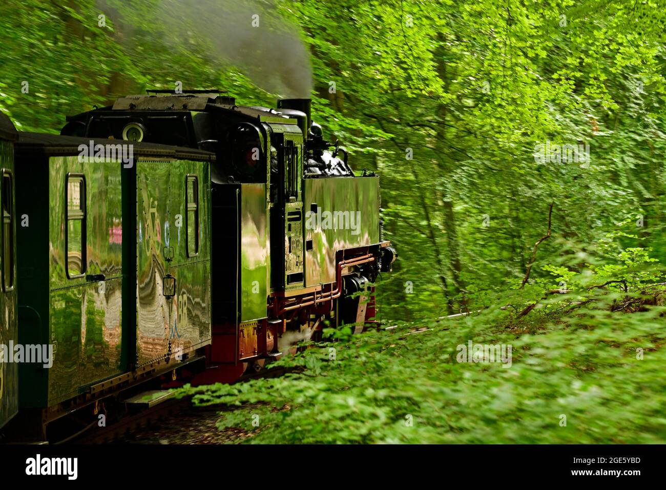 Ruegen narrow gauge railway hi-res stock photography and images - Alamy