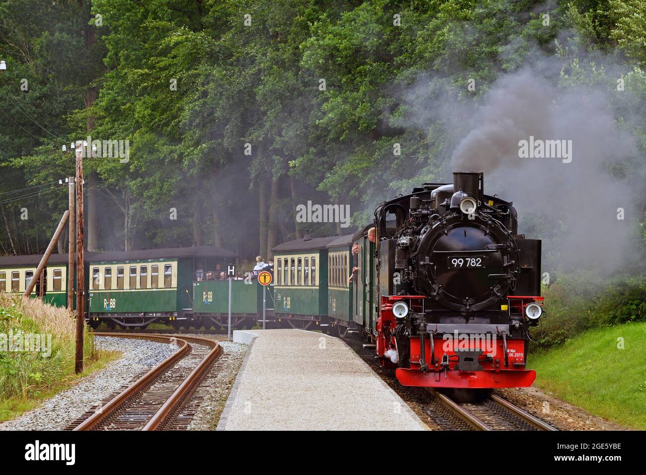 Narrow-gauge railway Rasender Roland, Insel Ruegen, Mecklenburg-Western ...