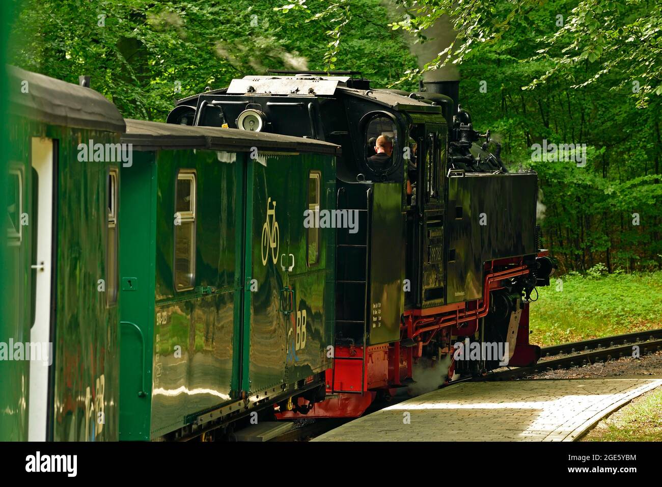 Narrow-gauge railway Rasender Roland, Insel Ruegen, Mecklenburg-Western ...