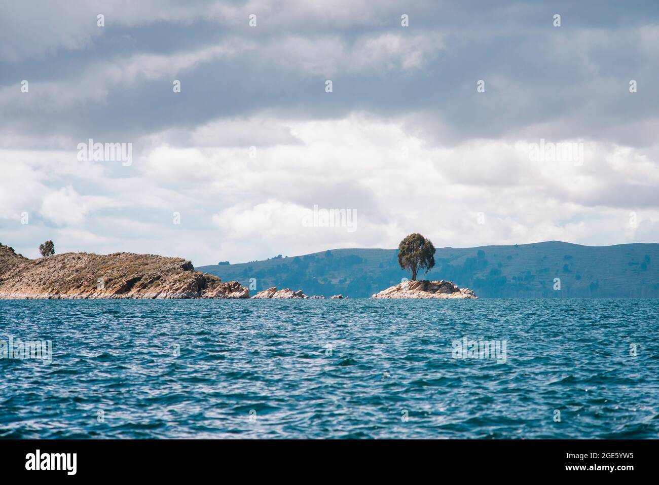 lonely tree on rocky cape of Isla de la Luna (Island of the Moon) at ...