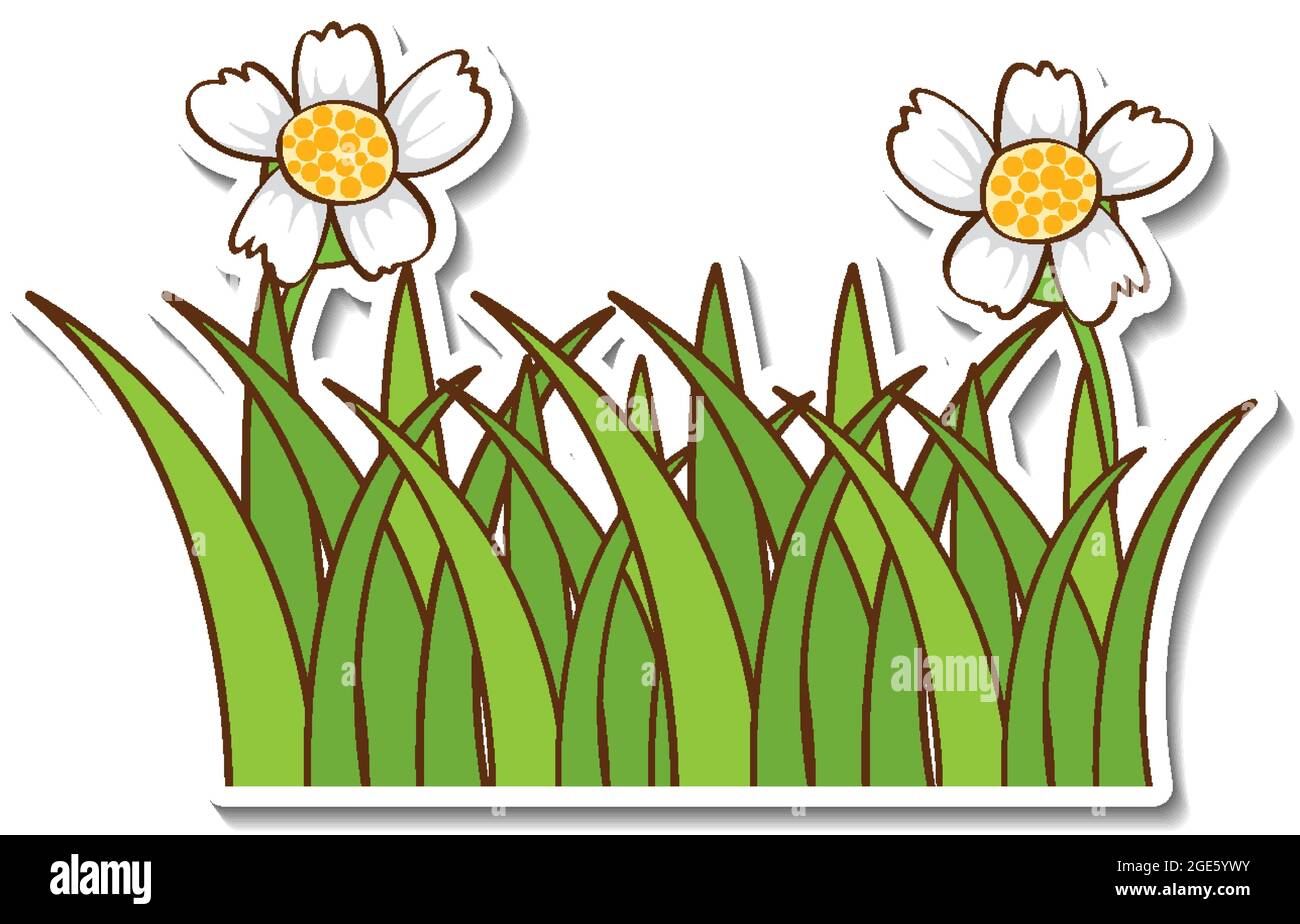 Sticker design with grass flower isolated illustration Stock Vector ...