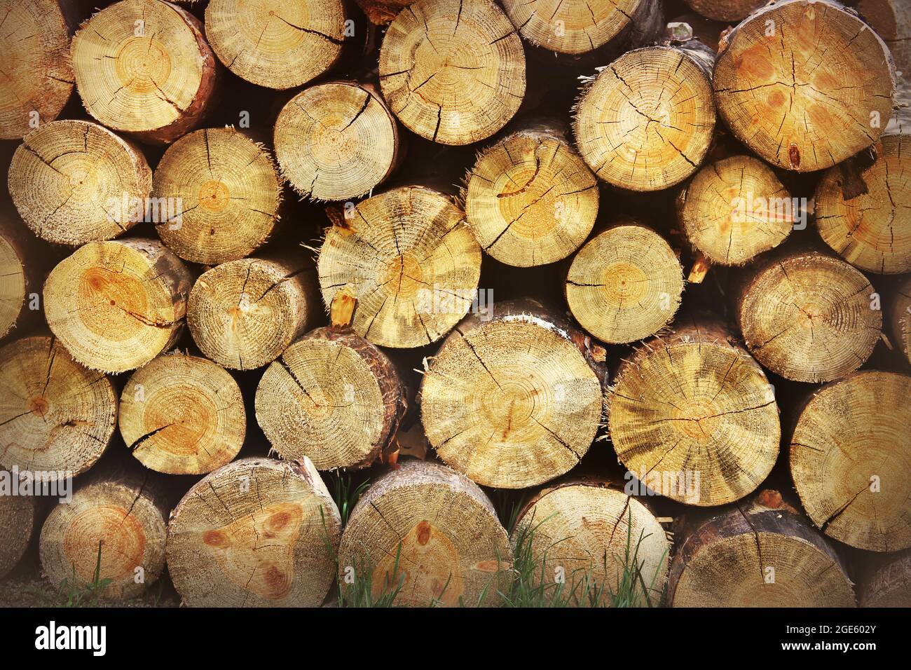 Stacked logs. Background from wooden boards. Wood background Stock ...