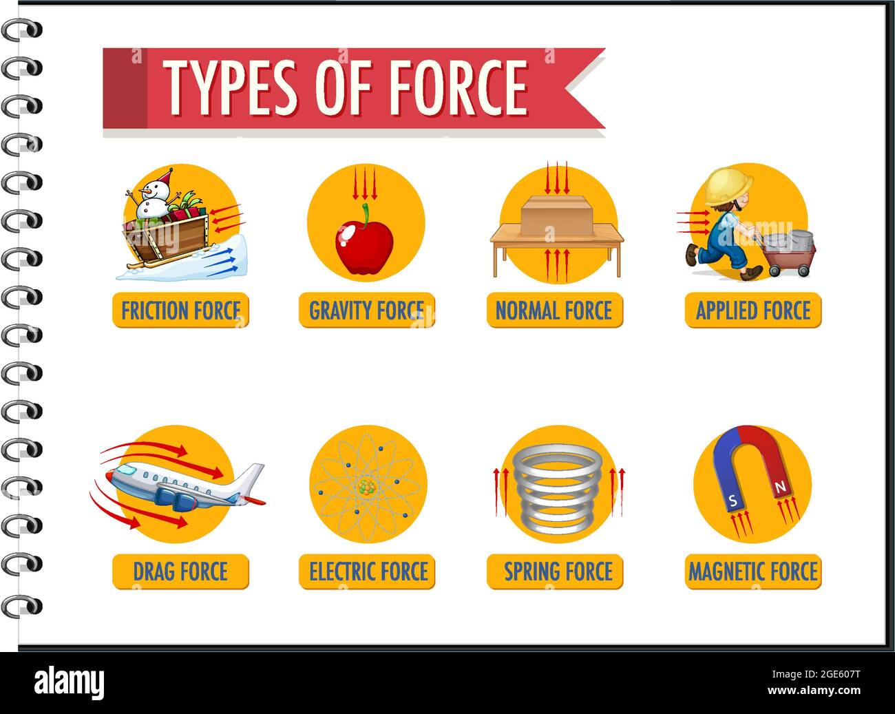 Information poster of type of force illustration Stock Vector Image ...