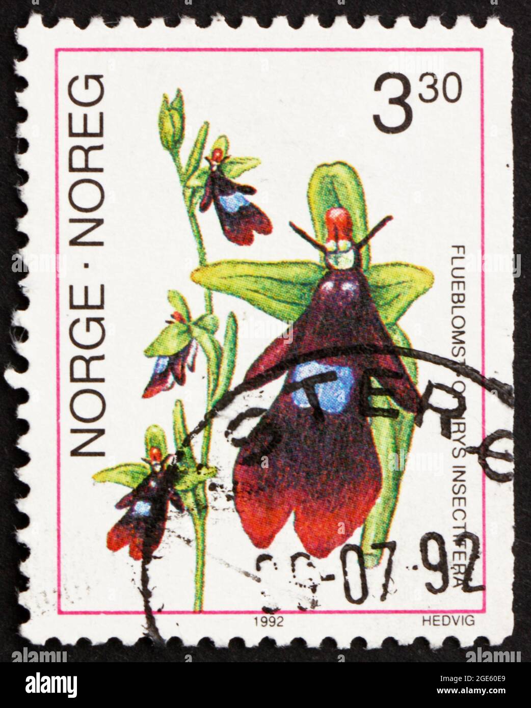 NORWAY - CIRCA 1992: a stamp printed in the Norway shows Fly Orchid ...