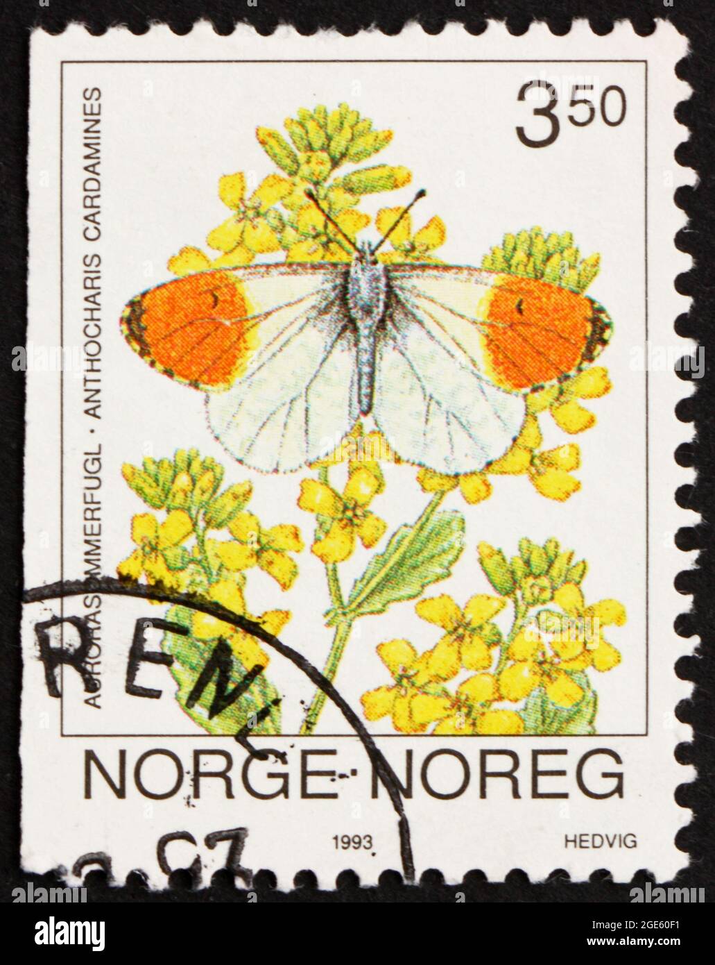 NORWAY - CIRCA 1993: a stamp printed in the Norway shows Orange Tip ...