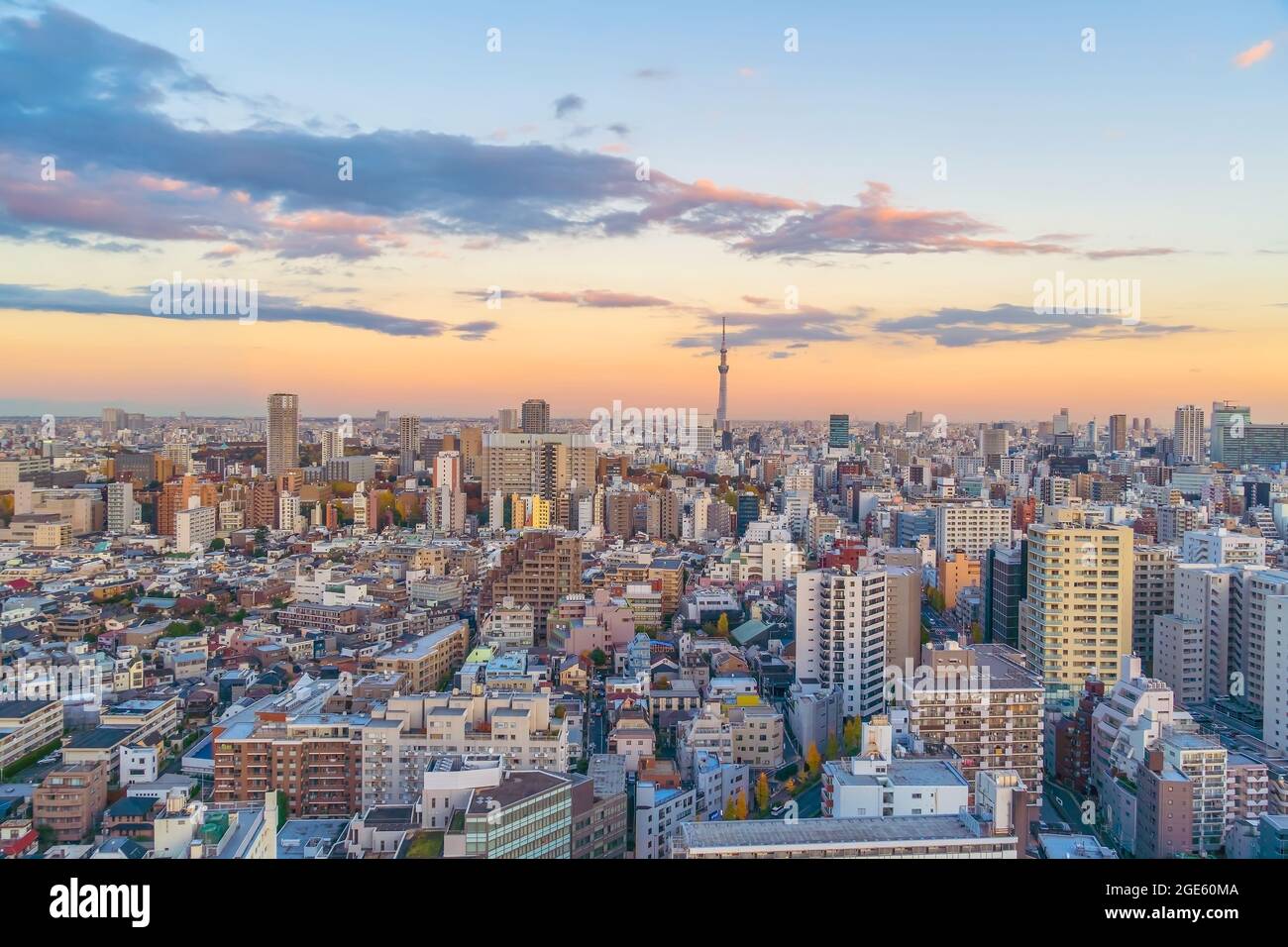 Top view of Tokyo city skyline (Shinjuku and Shibuya) area with ...