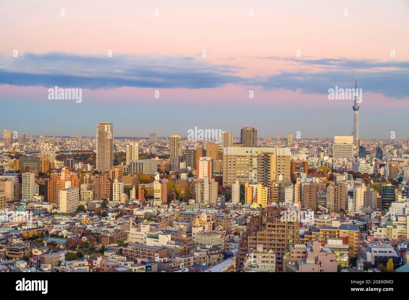 Top view of Tokyo city skyline (Shinjuku area) with beautiful sunset in ...