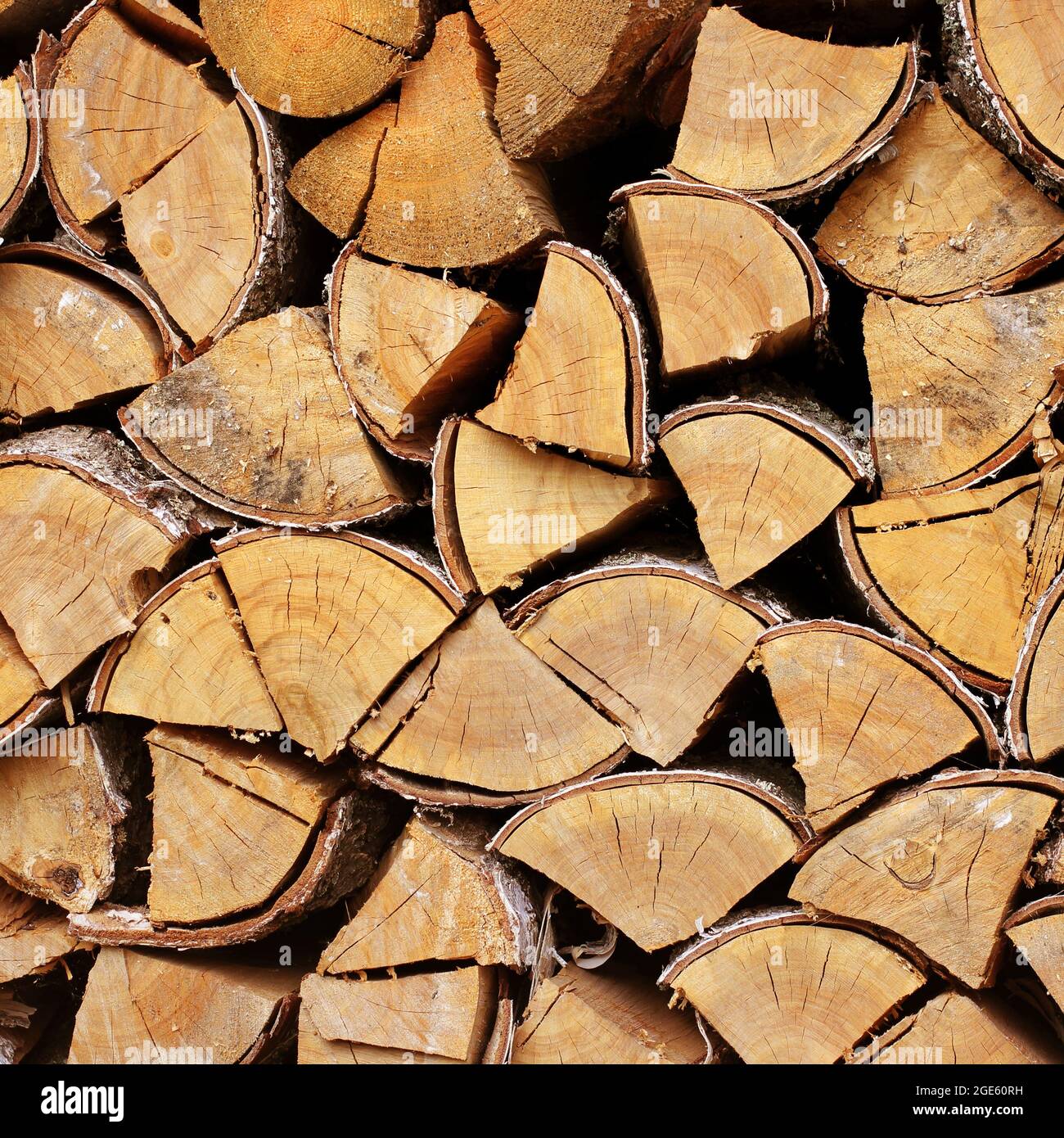 Cutting pine tree boards hi-res stock photography and images - Alamy