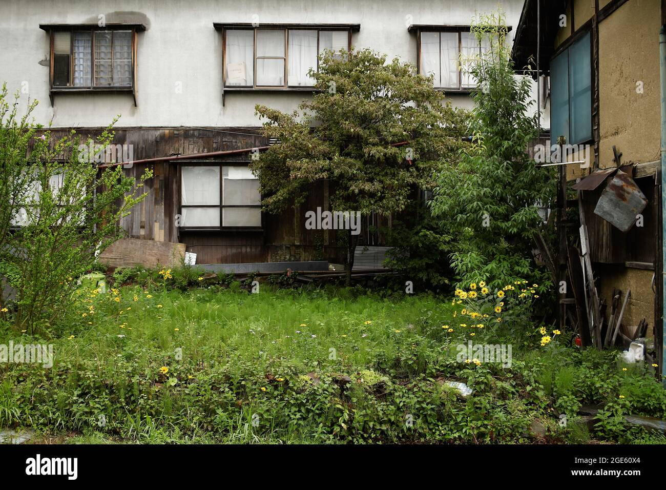 yudanaka, nagano, japan, 2021-13-8 , Yudanaka onsen Stock Photo - Alamy