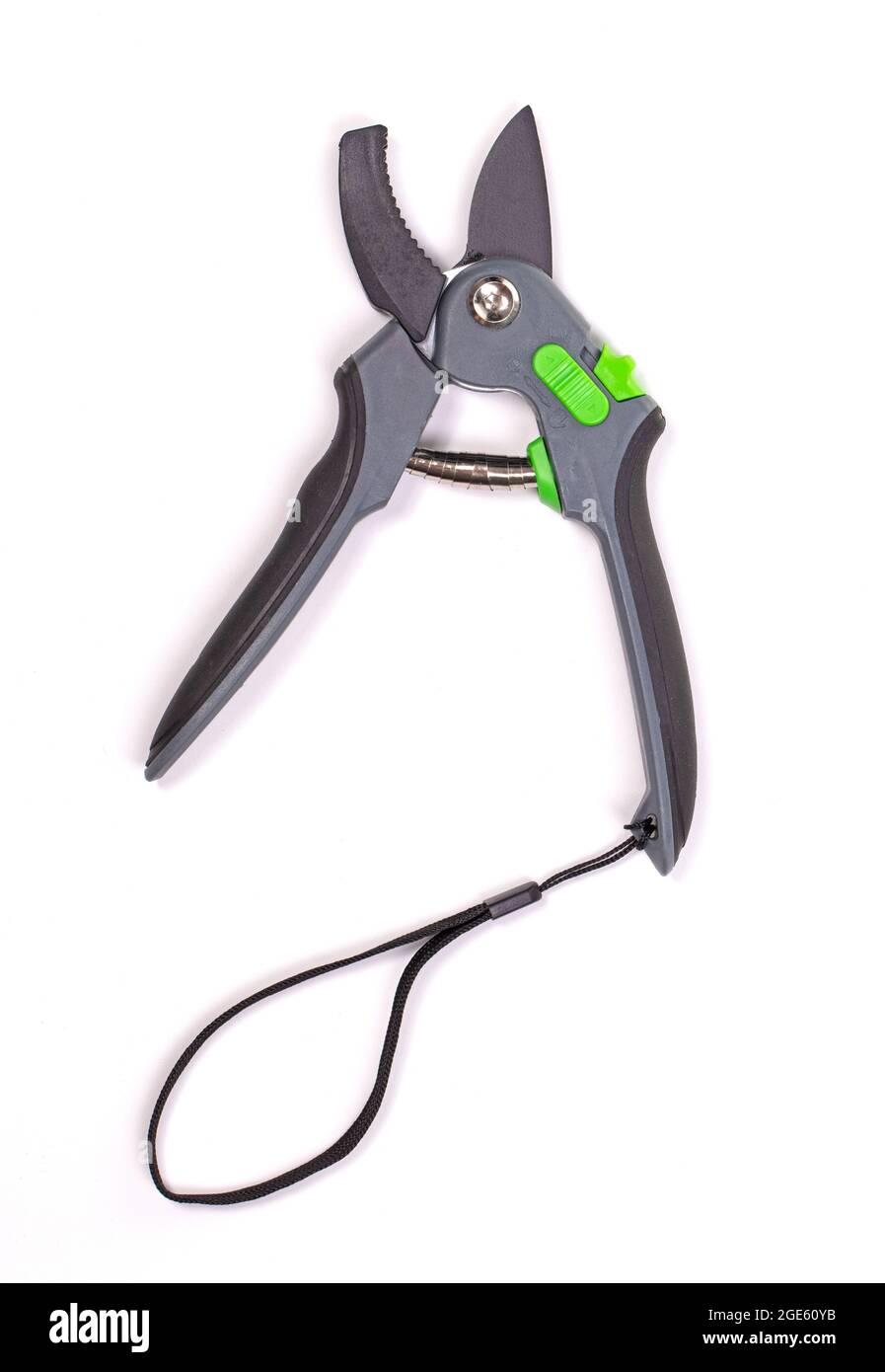 Modern garden scissor tool isolated on white Stock Photo - Alamy