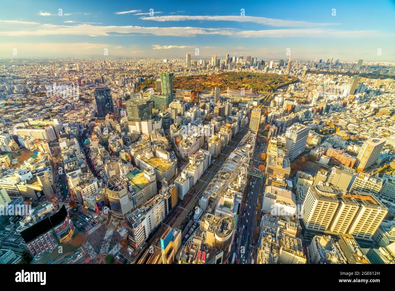Top view of Tokyo city skyline (Shinjuku and Shibuya) area at sunset in ...
