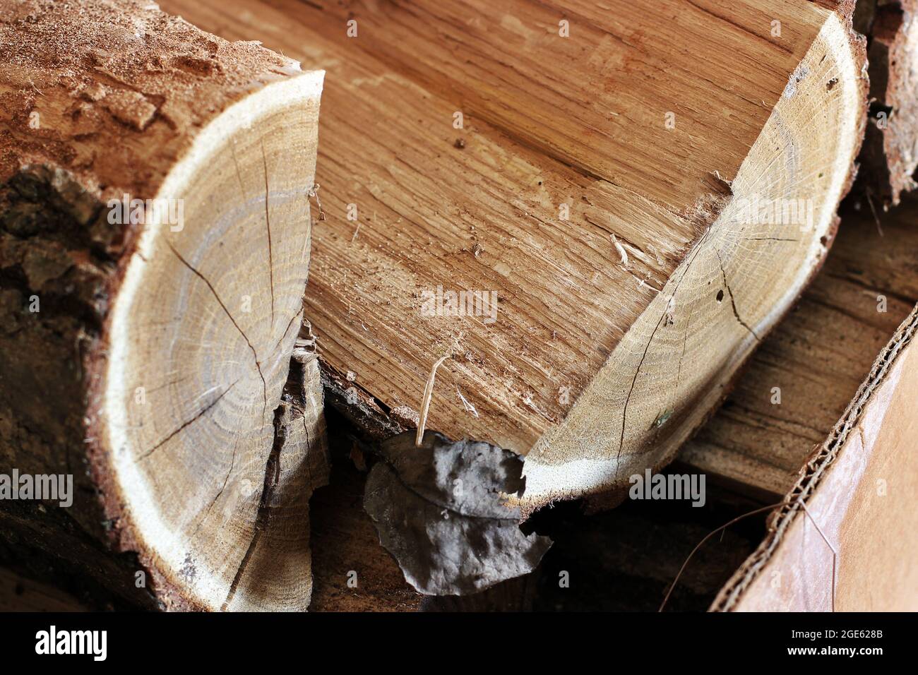Folded logs close up. Chopped logs Stock Photo - Alamy