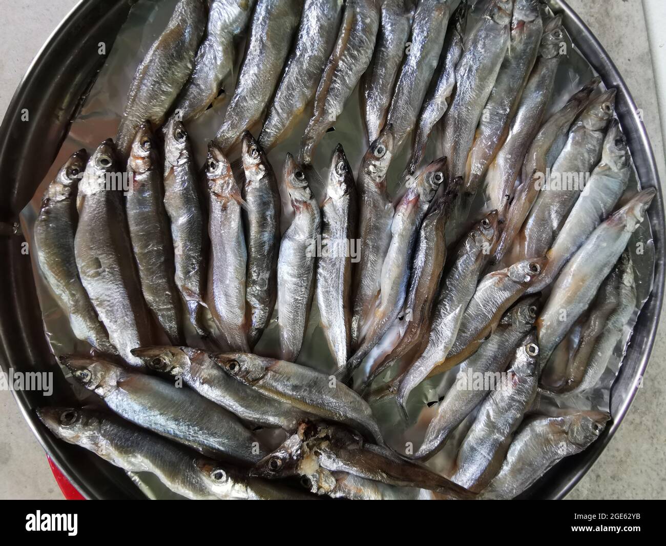Capelin hi-res stock photography and images - Alamy