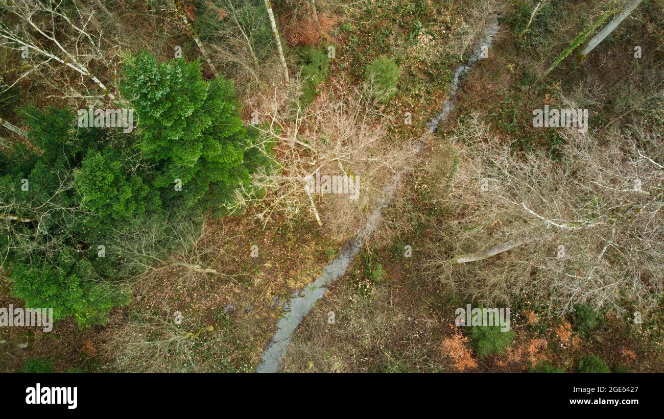 Different coloured trees hi-res stock photography and images - Alamy