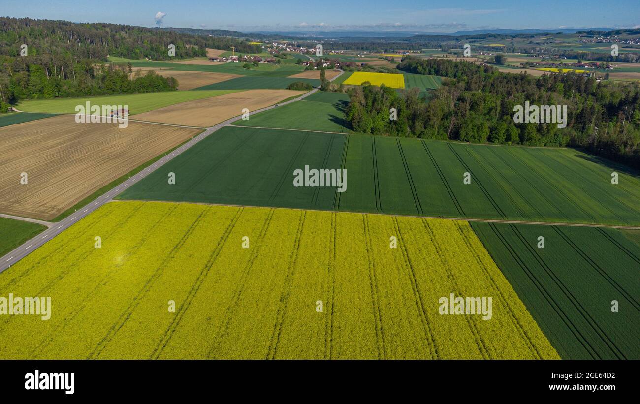 Droneflight over fields (especially rapeseed) with pathes and a street ... Droneflight over fields (especially rapeseed) with pathes and a street ...