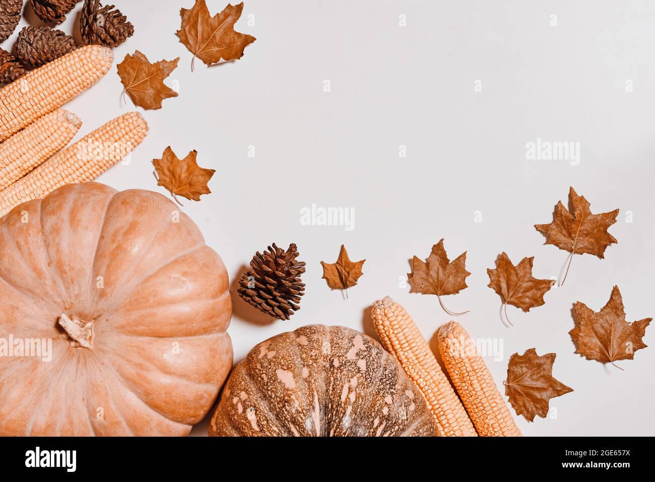 Autumnal background with harvest fall vegetables and autumnal leaves on ...