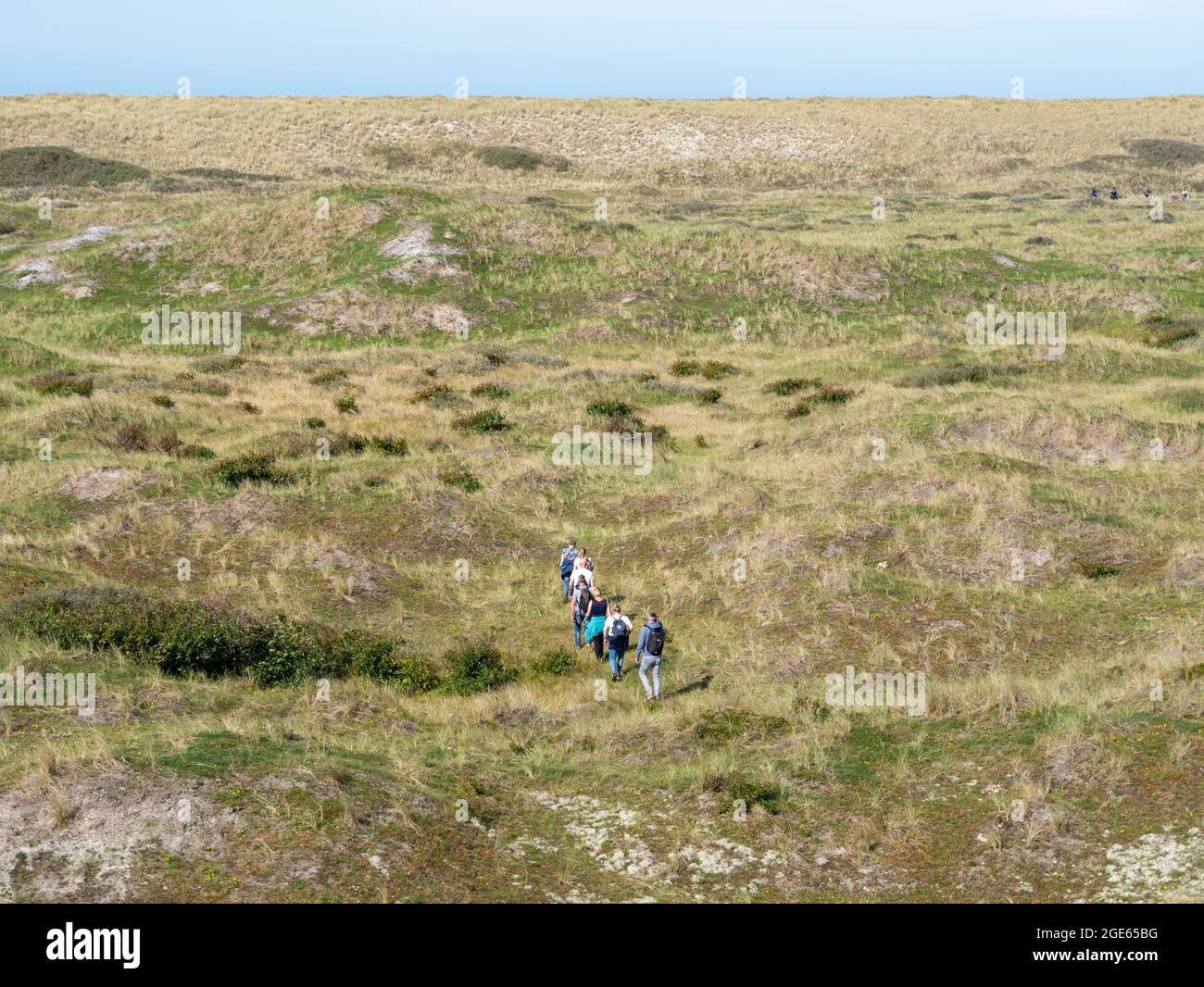 Group of walkers hiking in dunes of nature reserve of West Frisian ...